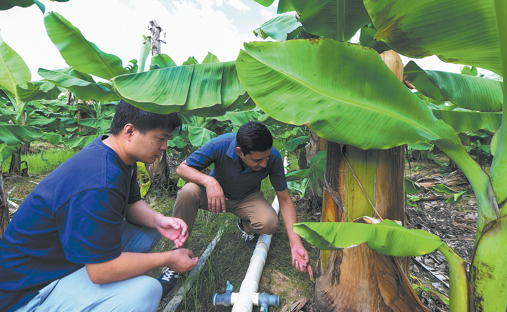 AI CRACKS THE CODE FOR FASTER, BETTER CROPS