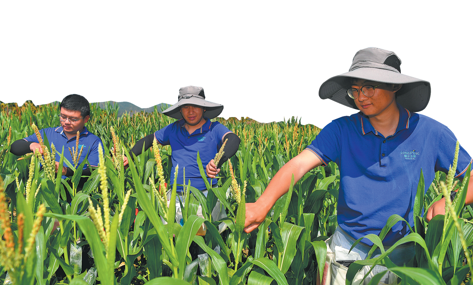 AI CRACKS THE CODE FOR FASTER, BETTER CROPS